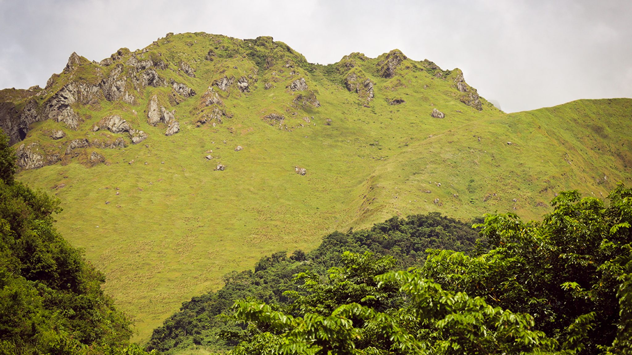 Mt. Malindig, an expansive stratovolcano in Marinduque - Marinduque News