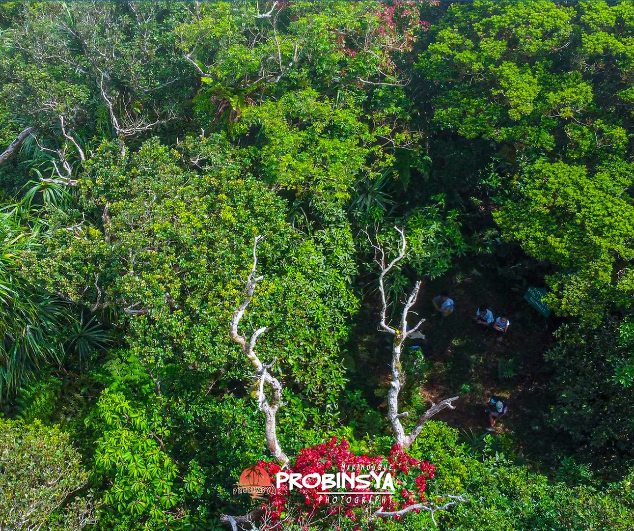 Mt. Malindig, an expansive stratovolcano in Marinduque - Marinduque News