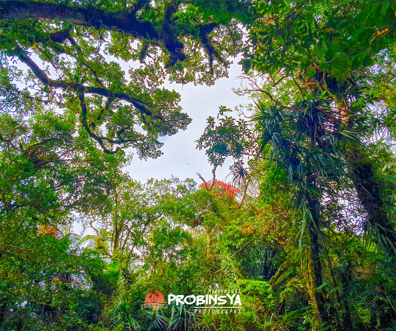 Mt. Malindig, an expansive stratovolcano in Marinduque - Marinduque News