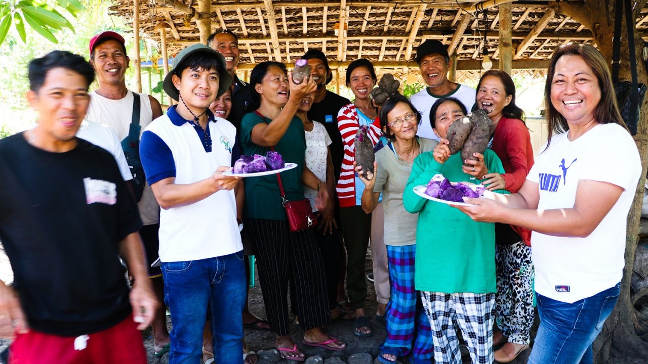 Marinduque farmers sell over 3,800 kilos of native ube under DA program
